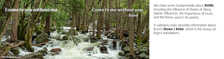 - Reading Rumi