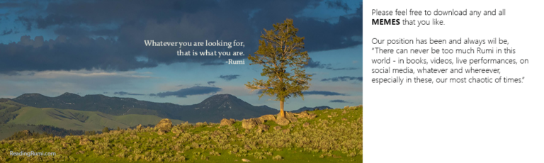 - Reading Rumi